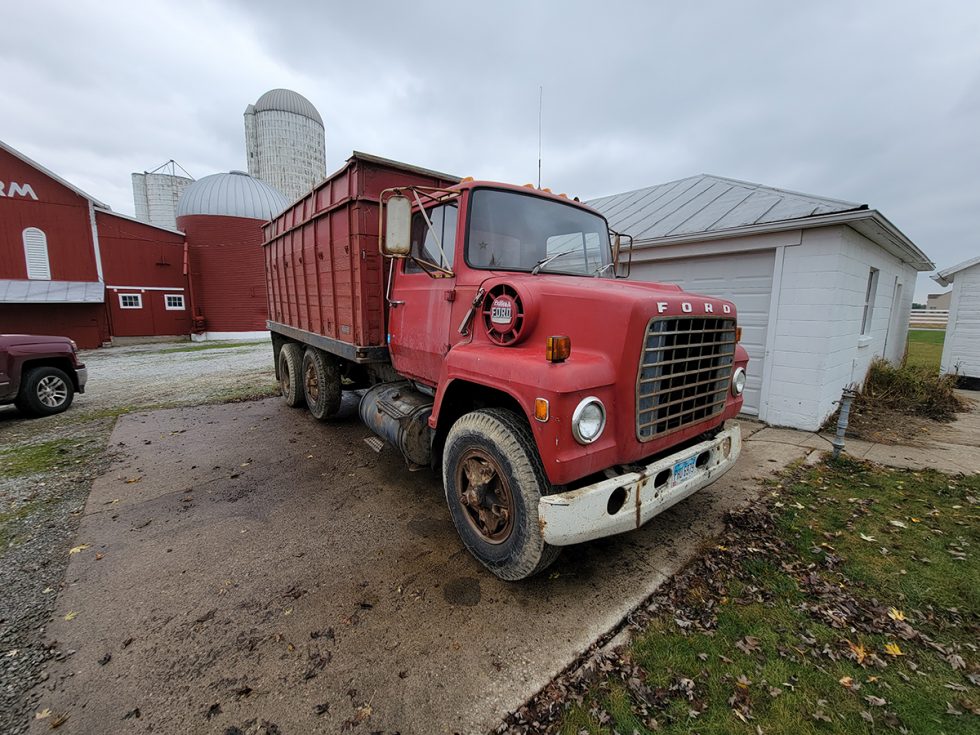 1979 Ford 800 Grain Truck - Wilson National