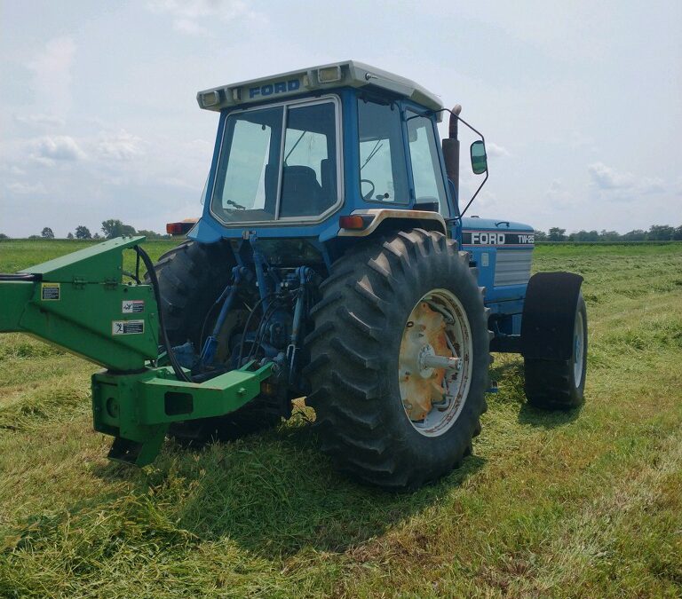 imagejpeg_0 (1) - Wilson National