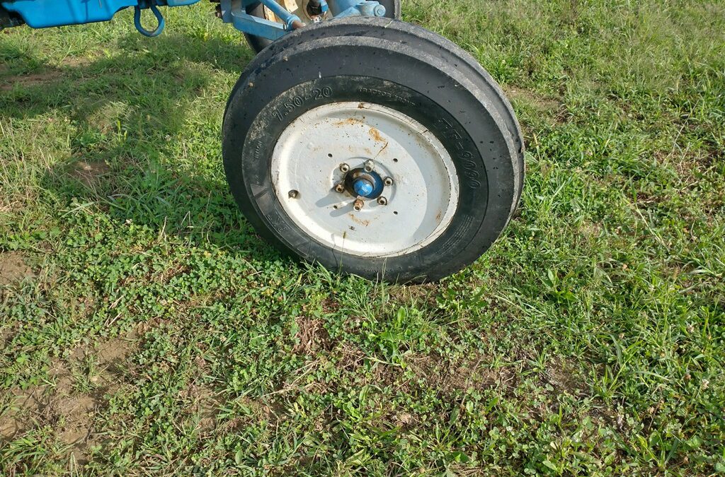 imagejpeg_0 (4) - Wilson National