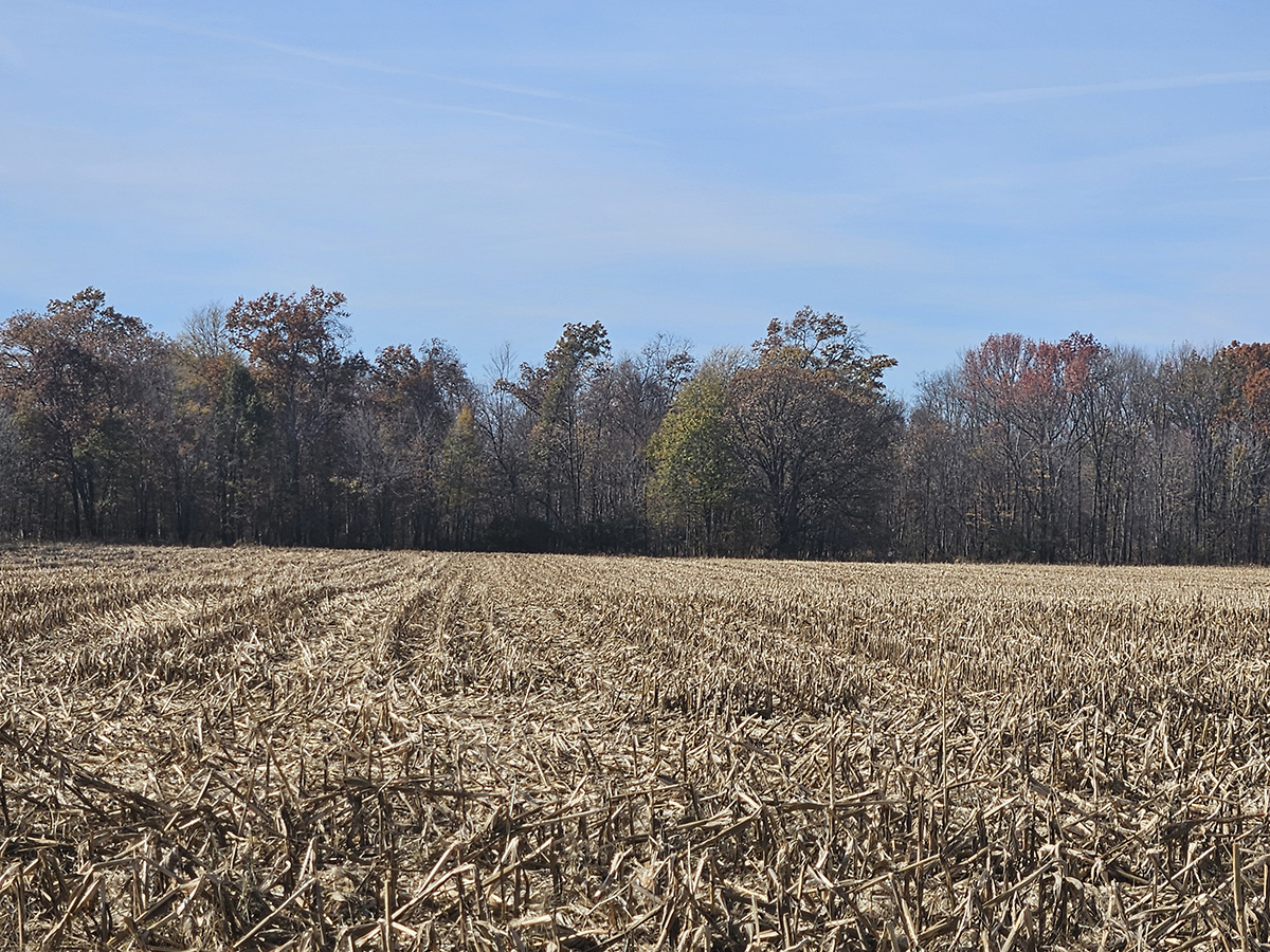 20 ACRES FARM & RECREATIONAL LAND WITH BARN - Wilson National