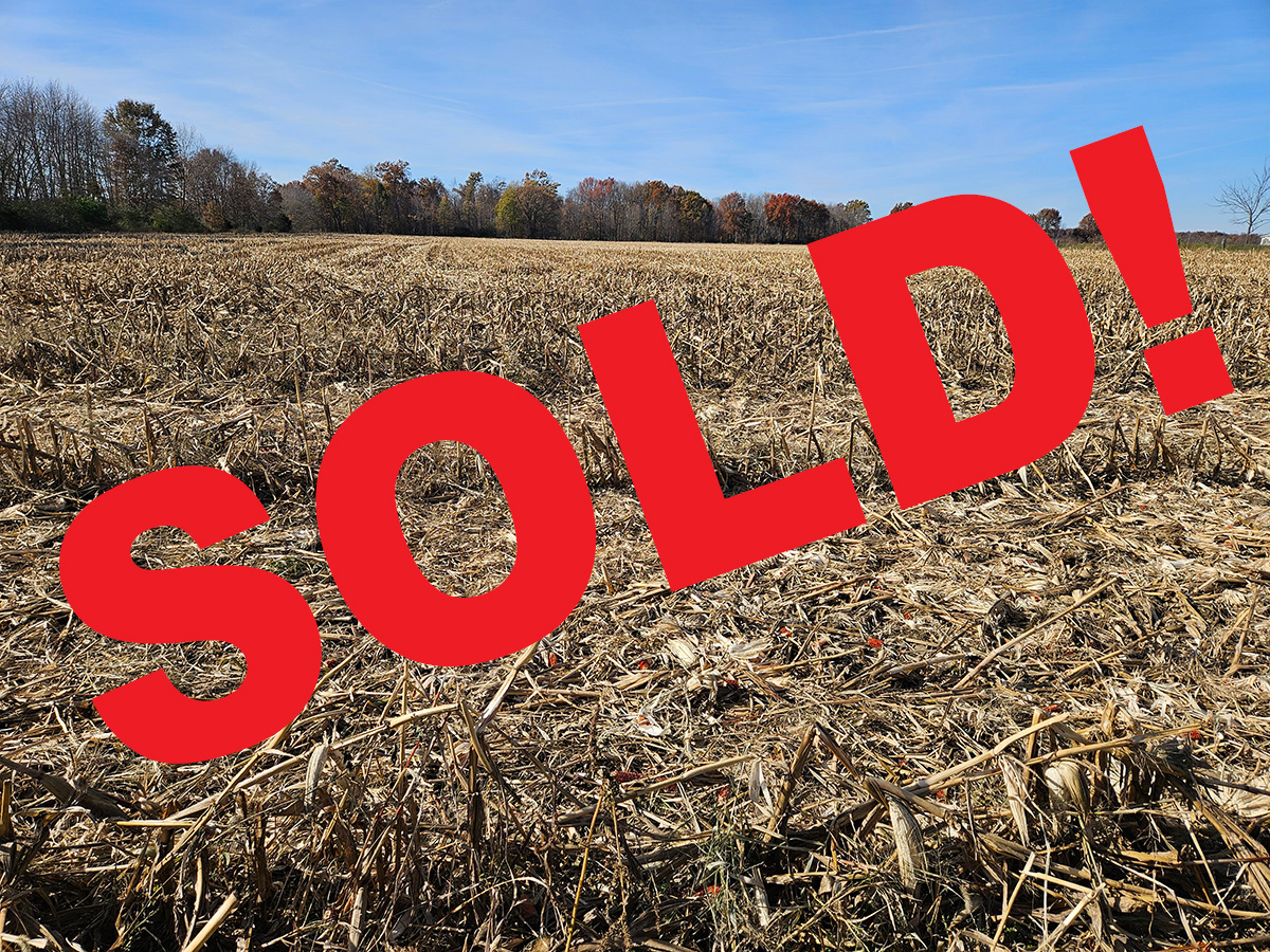 Upcoming Auctions - Wilson National