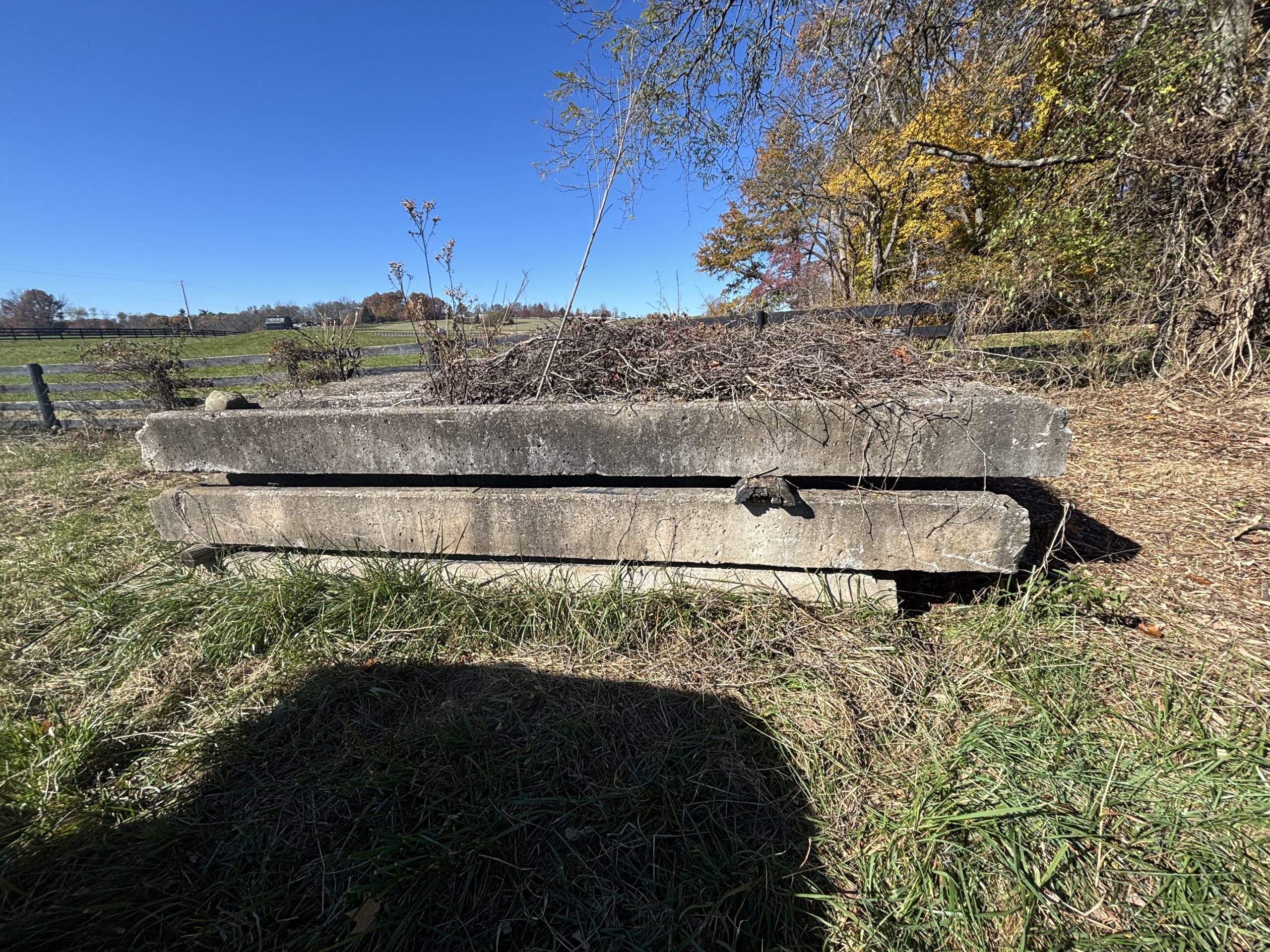 Concrete Cattle Guard