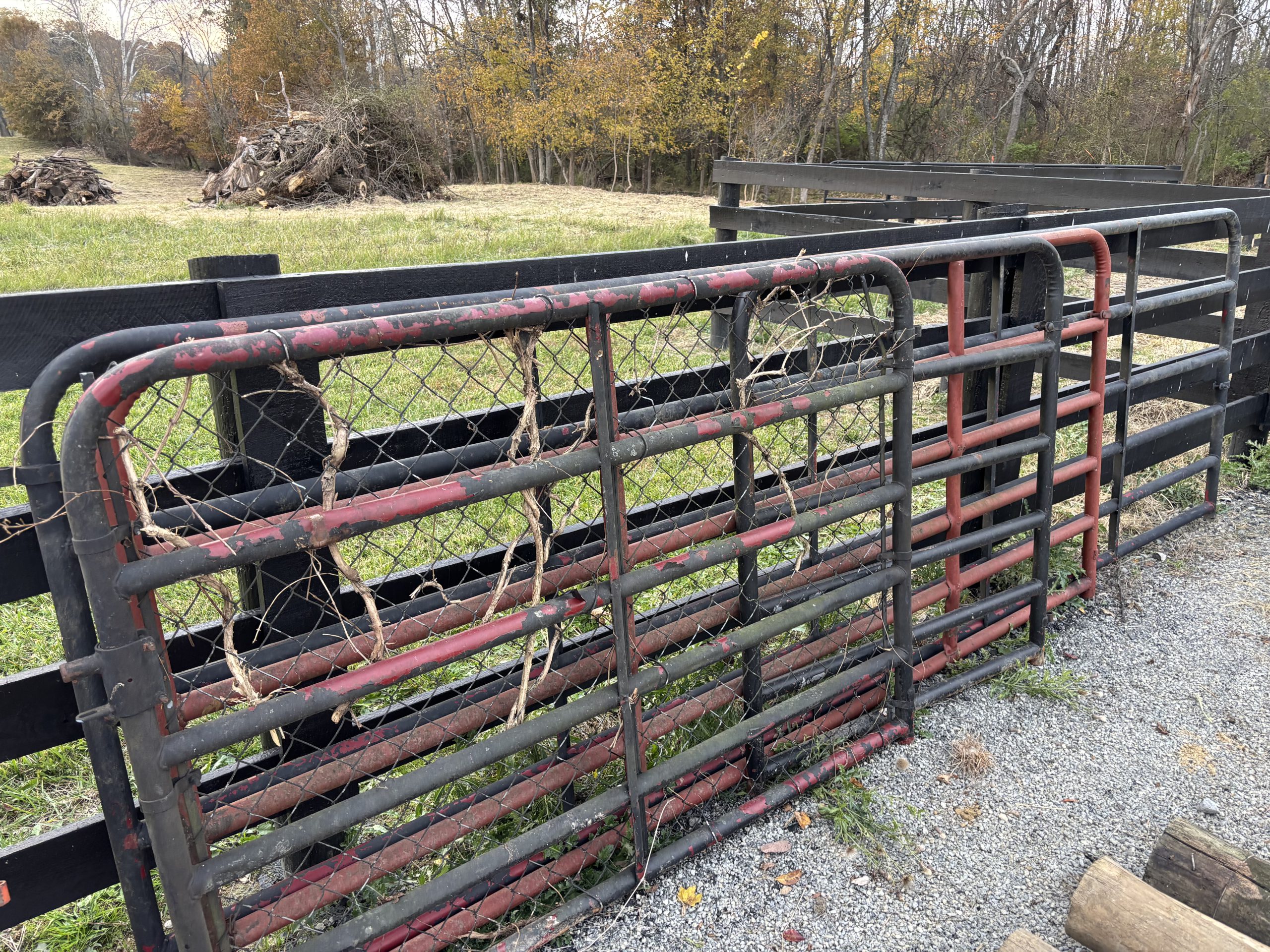 4 Assorted Gates