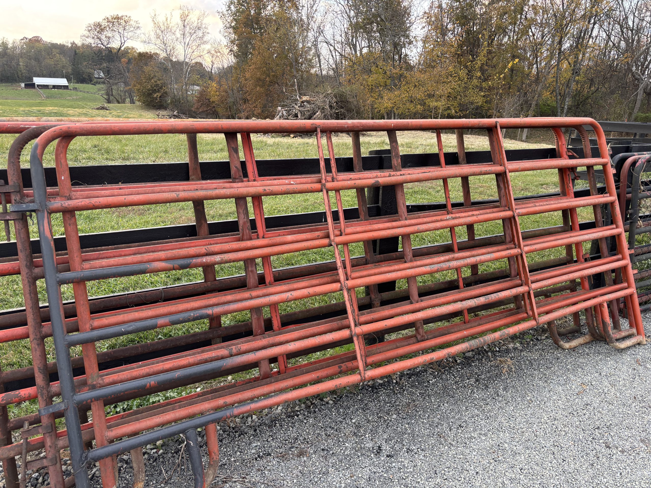 Corral